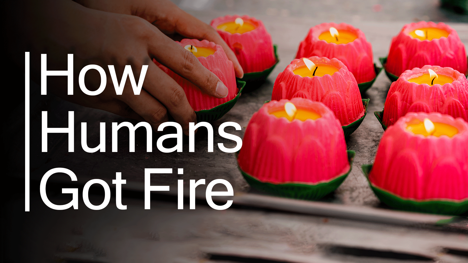 How Humans Got Fire Video & Resources | ClickView