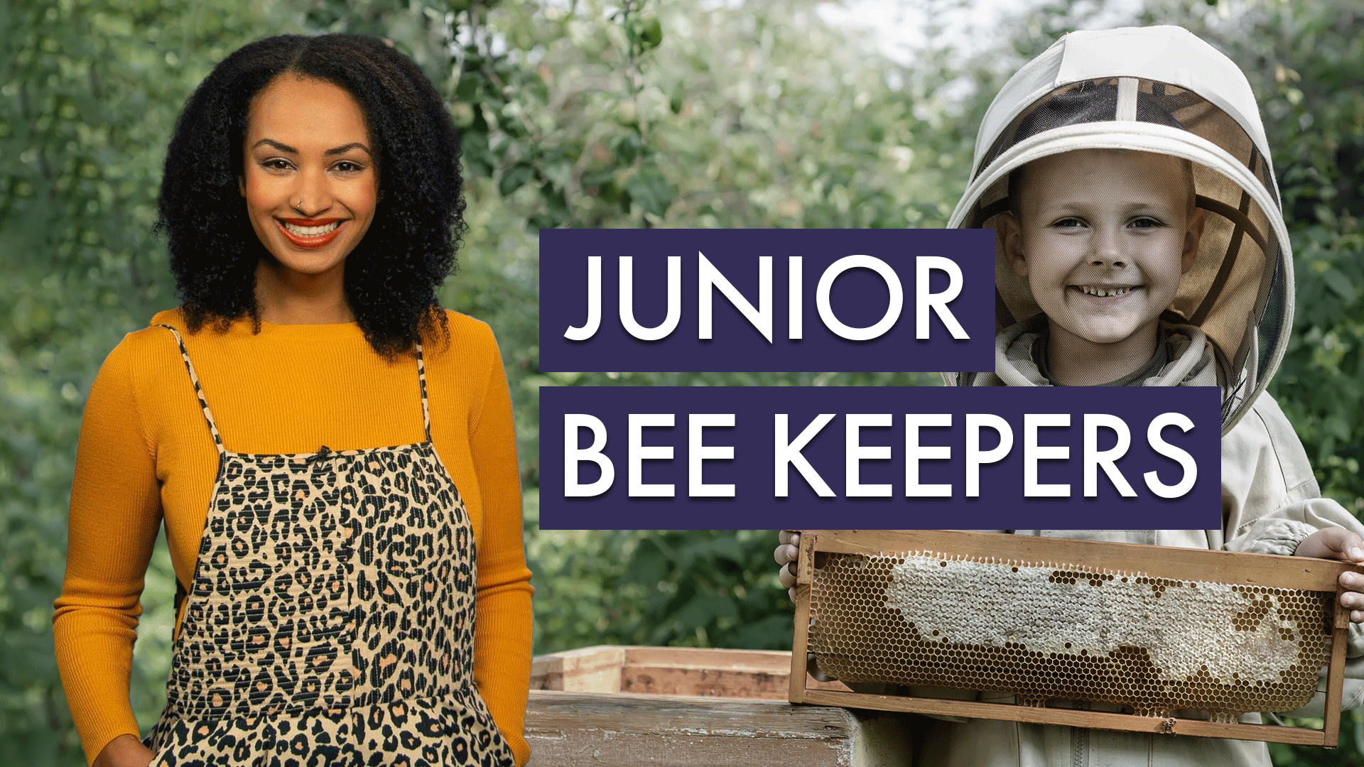 Junior Beekeepers Video & Resources | ClickView