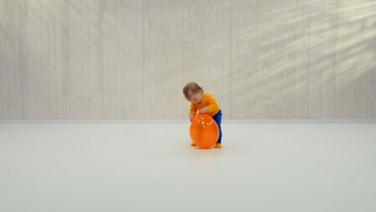 Rat and Toucan Video & Resources | ClickView