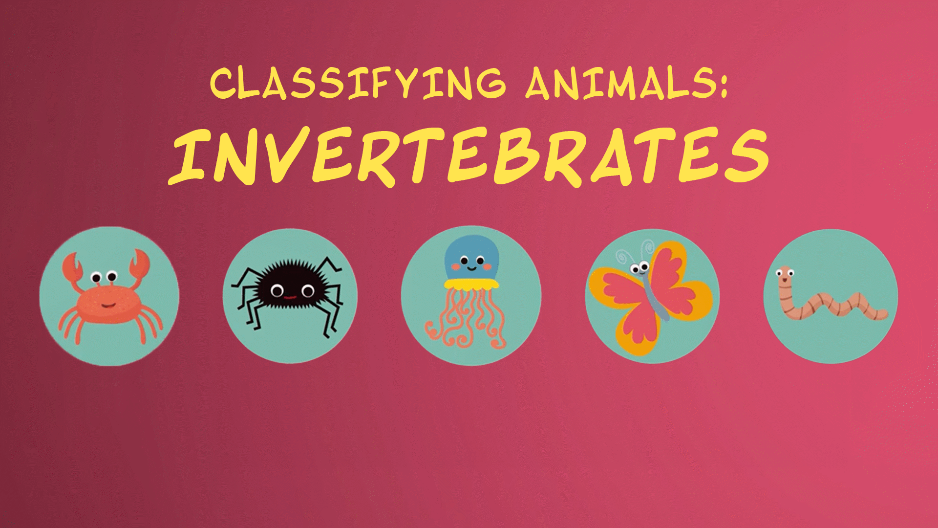 Classifying Animals: Invertebrates | ClickView