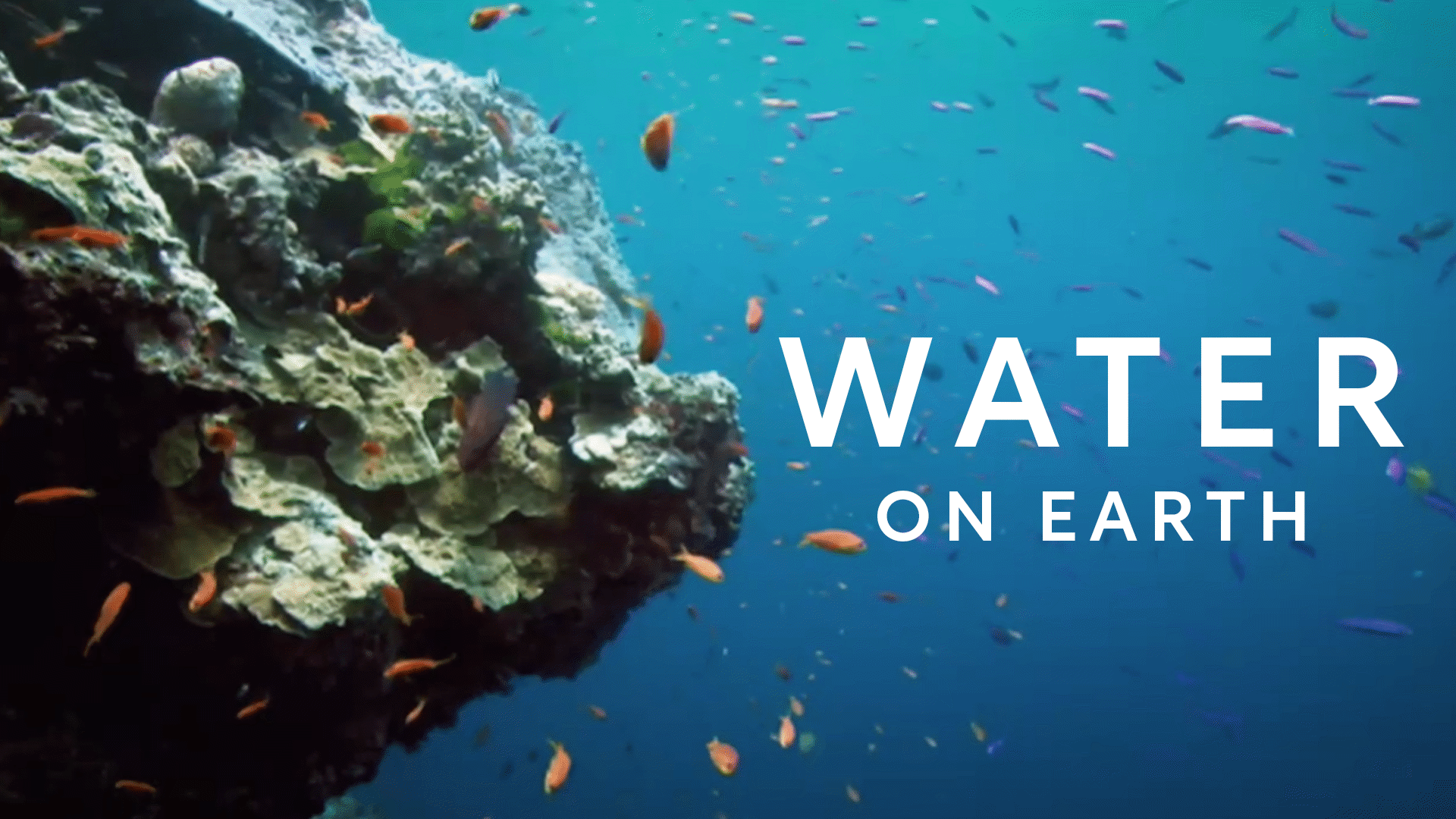 Water - Earth is the only planet with liquid... - ClickView