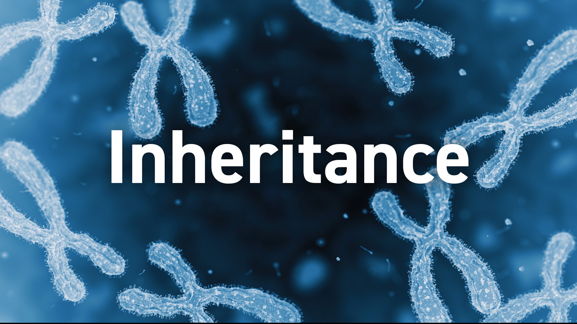 Inheritance: Part 1 Video & Resources | ClickView