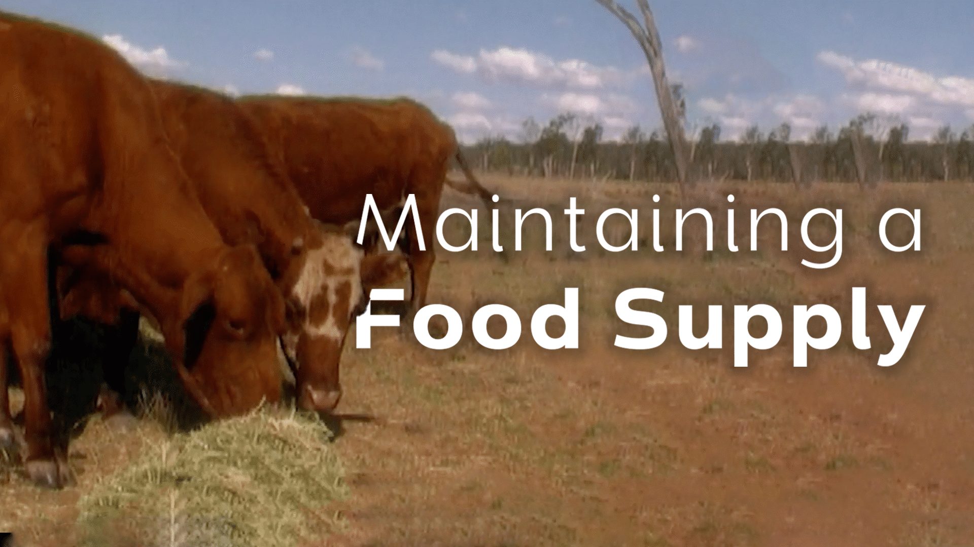 Farming Food Video & Resources | ClickView