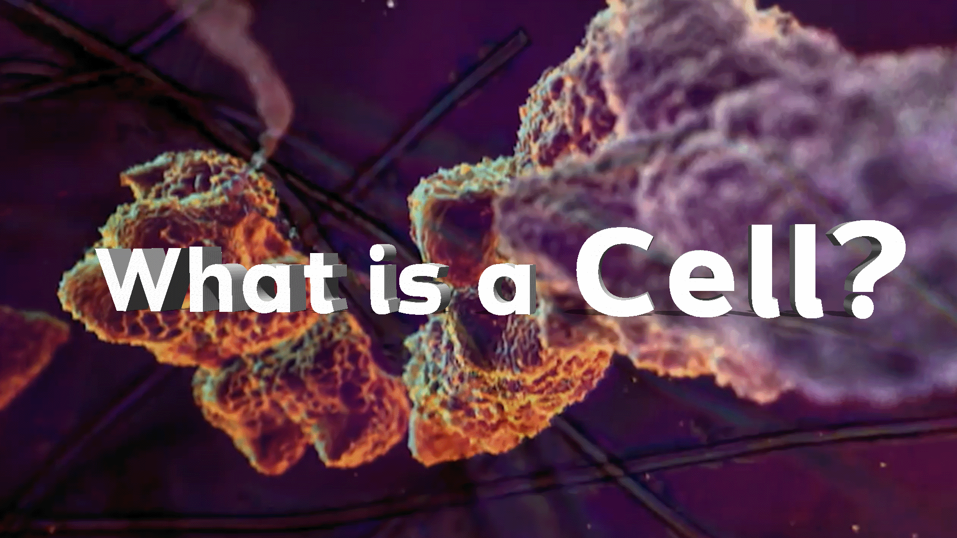 What Is a Cell? Video & Resources | ClickView