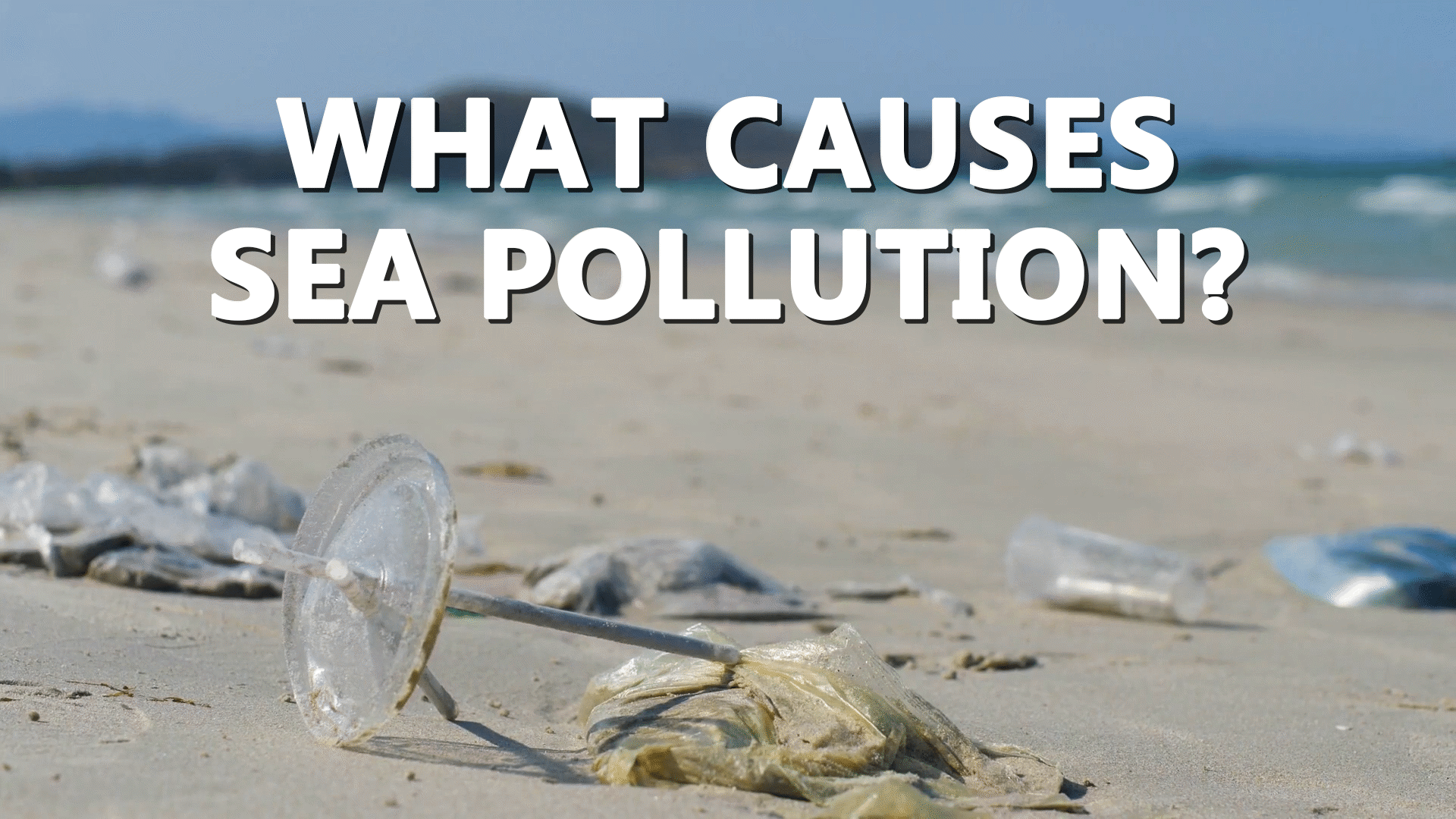 Sea Pollution Video & Resources | ClickView