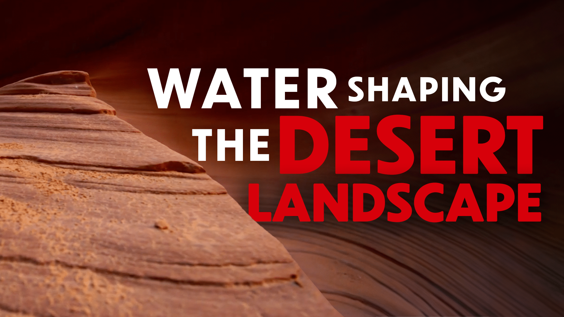 Planet Earth II: Deserts (Clips) | ClickView