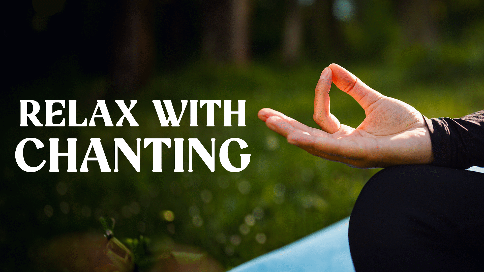 Primary Videos, Resources & Worksheets | ClickView