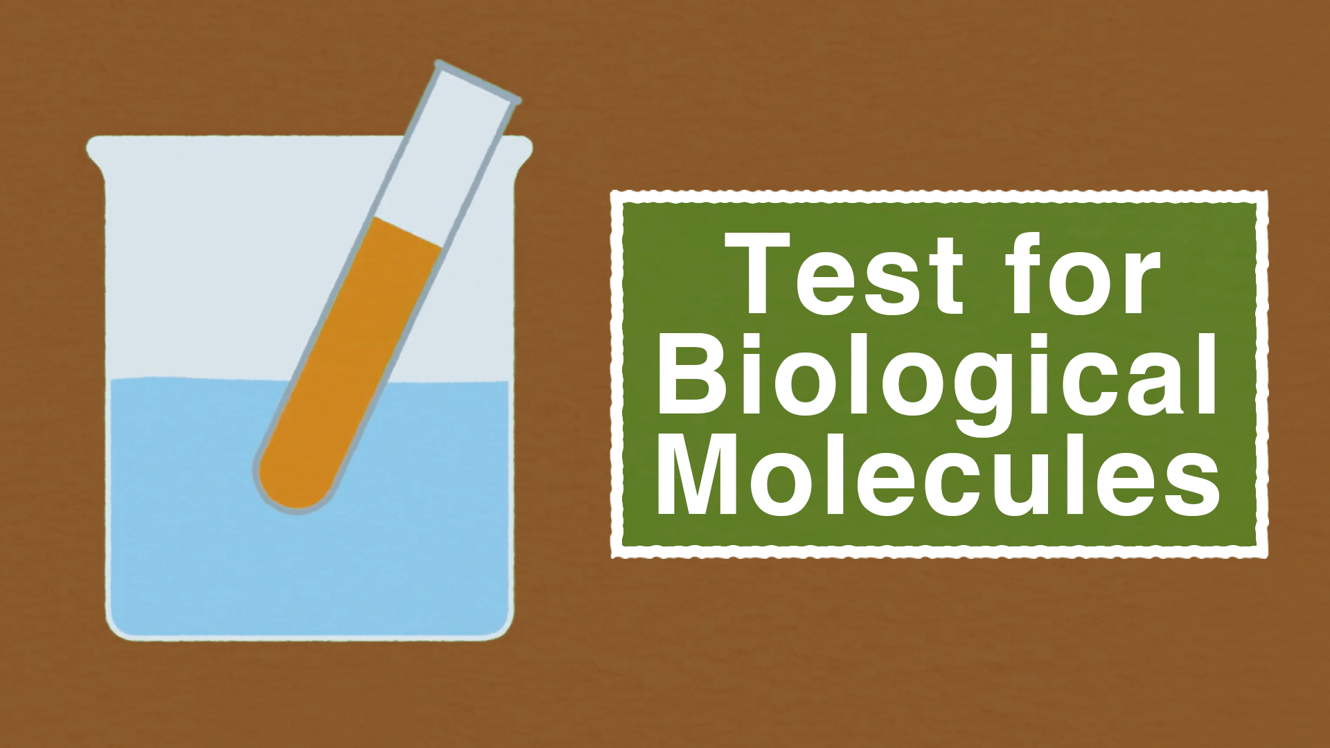 How Do We Test for Biological Molecules? | ClickView
