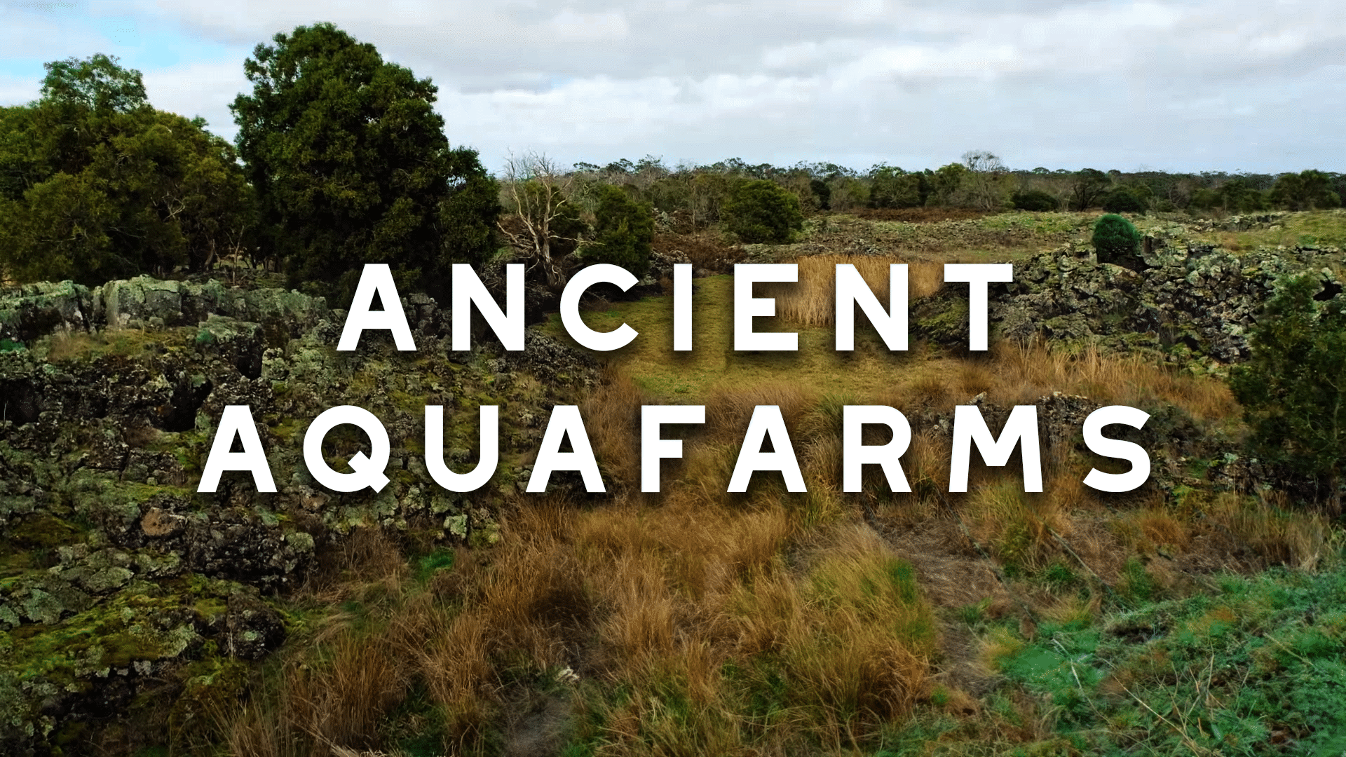 The First Inventors Videos & Resources | ClickView