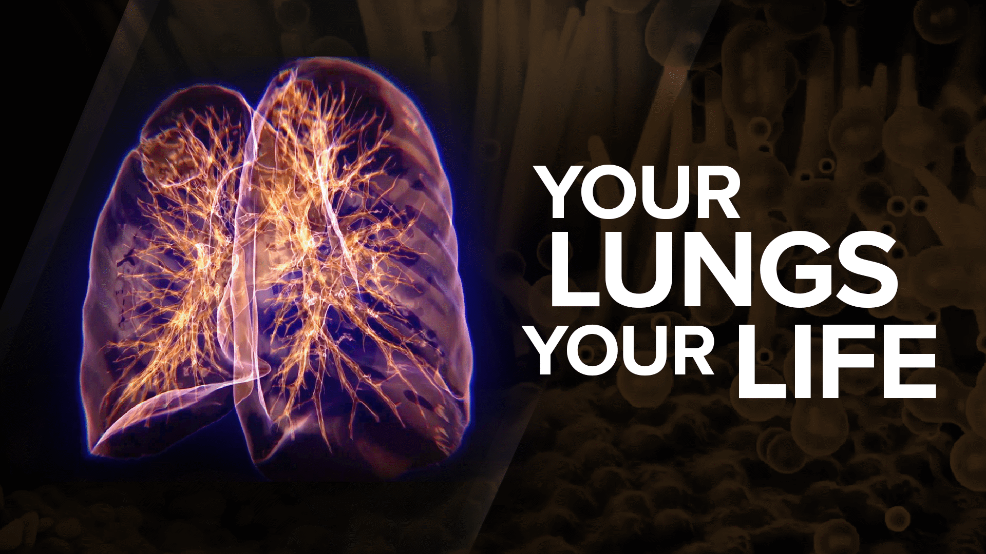 Vaping and Viruses: Your Lungs, Your Life | ClickView