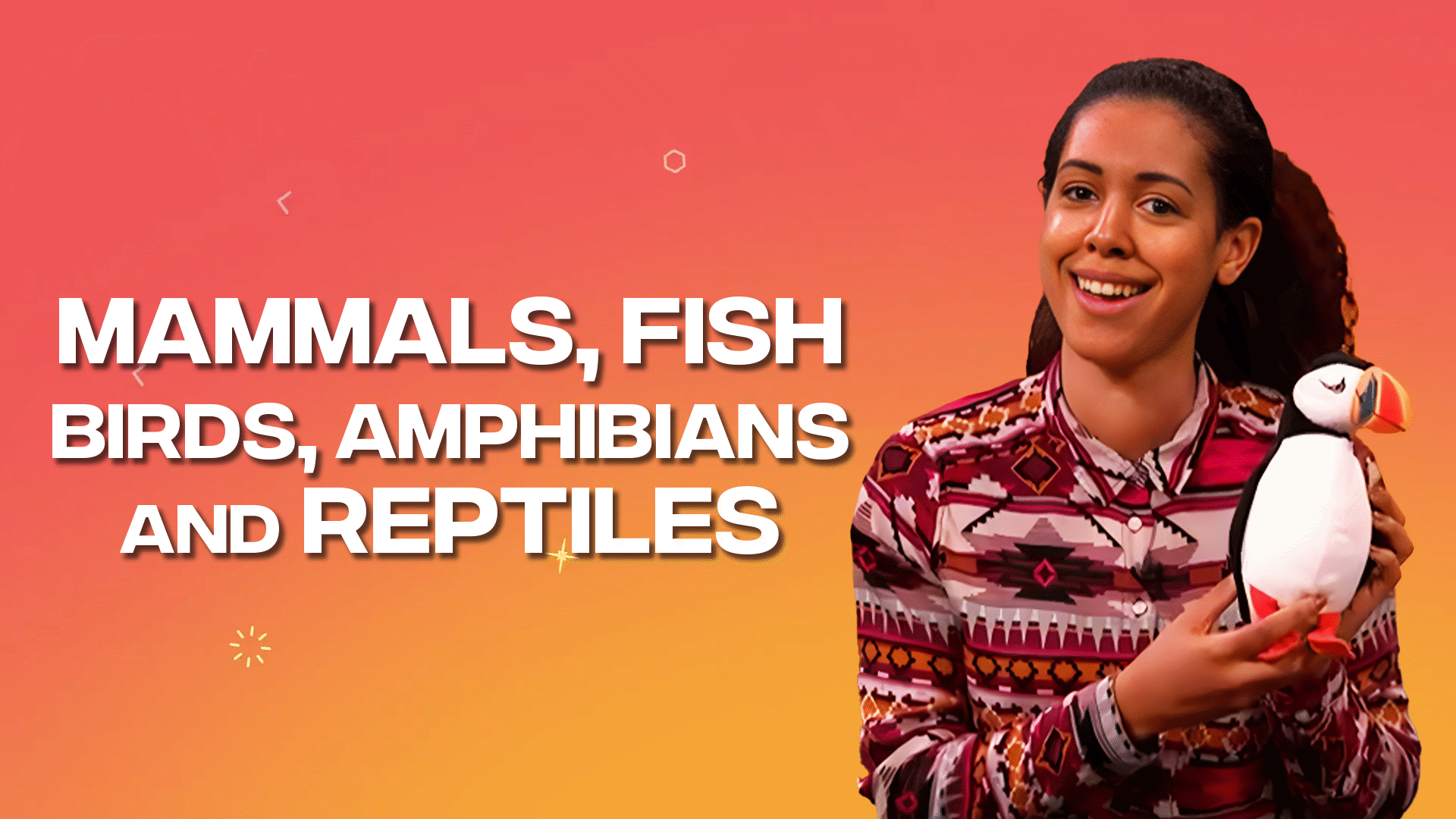 Classifying Animals | ClickView