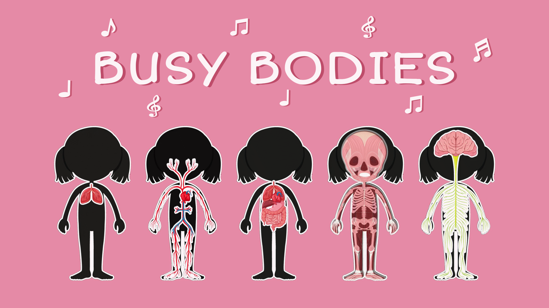 Busy Bodies Video & Resources | ClickView
