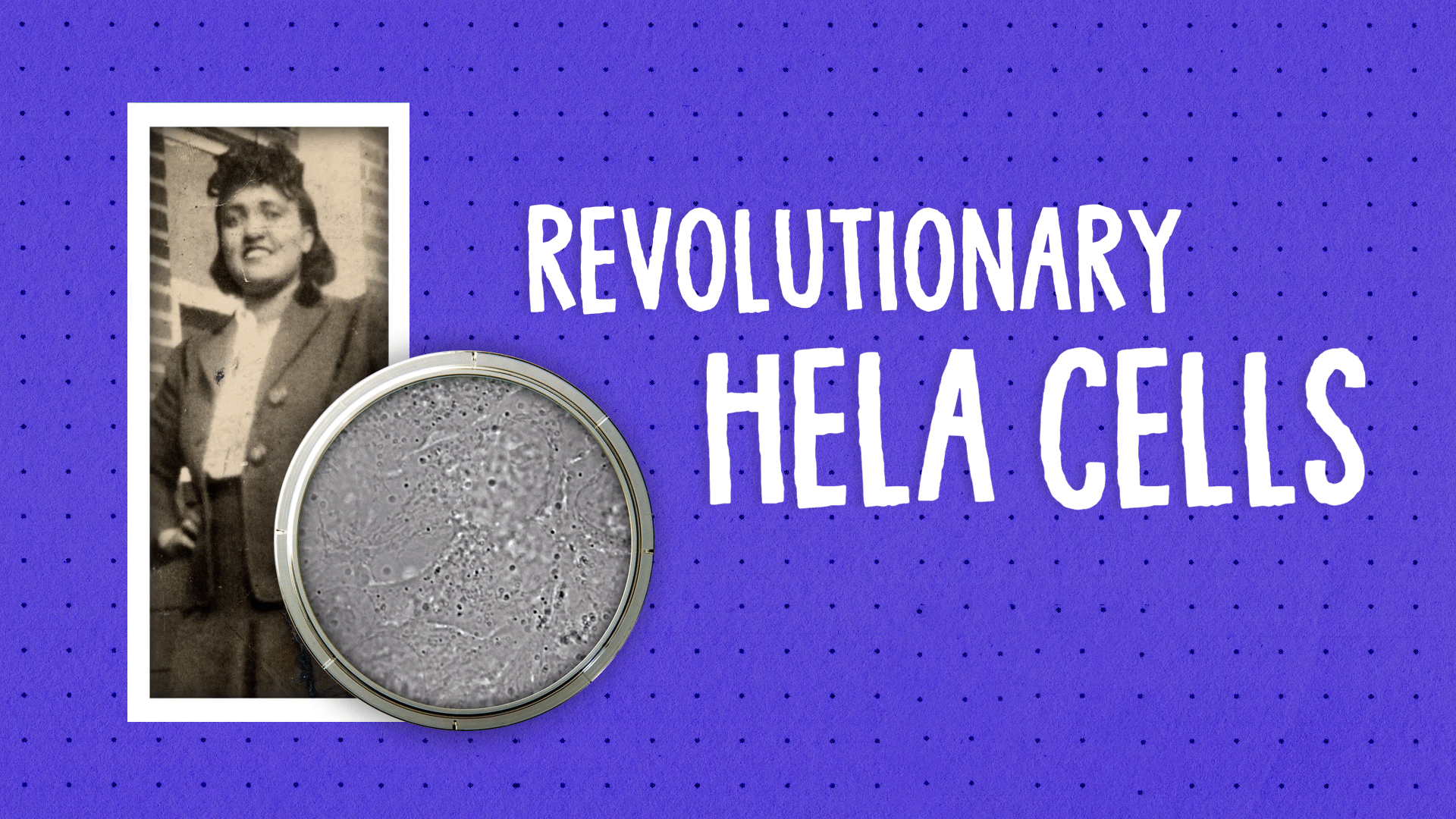 Discover New Secondary Videos & Resources | ClickView