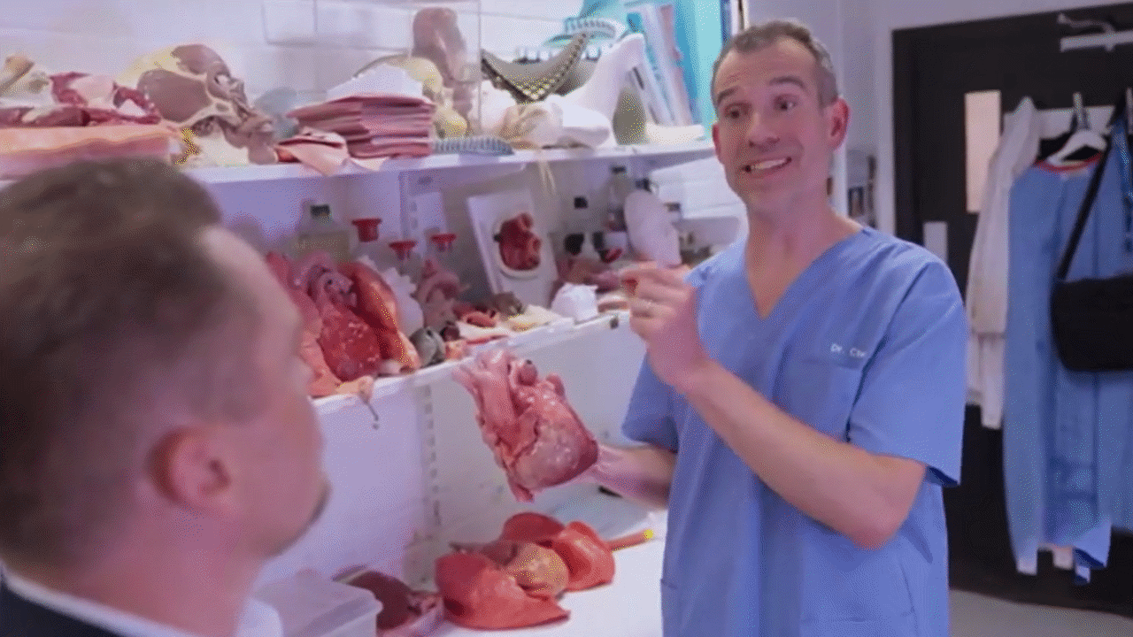 Tummy Rumble-tastic! Video & Resources | ClickView