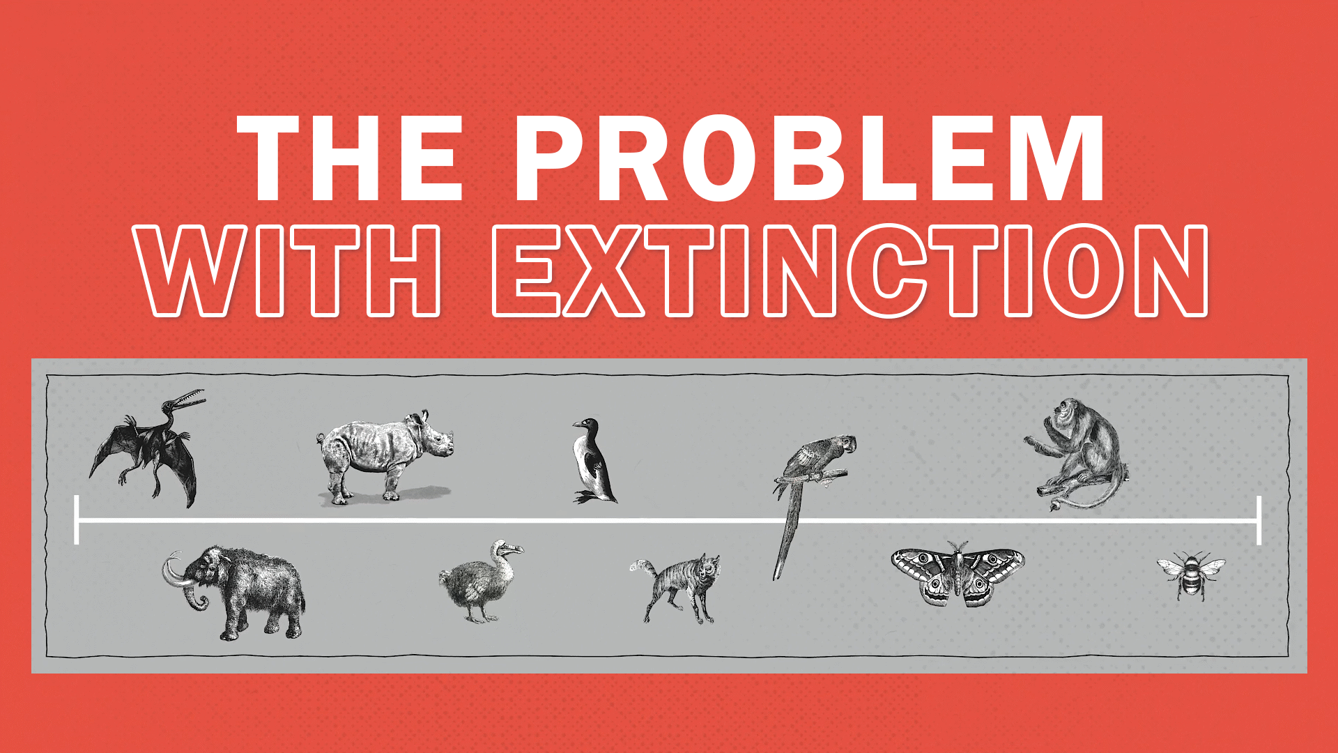 Species Go Extinct Video & Resources | ClickView