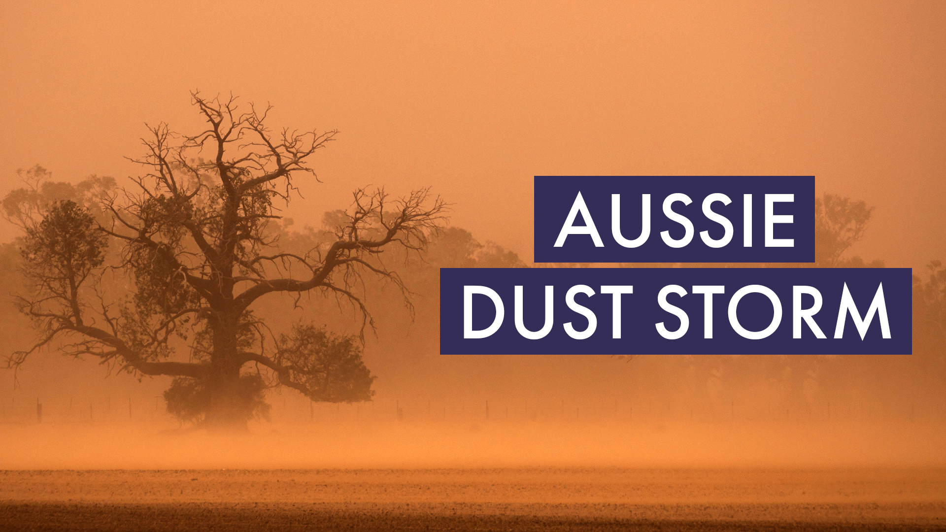 Dust Storm Video & Resources | ClickView