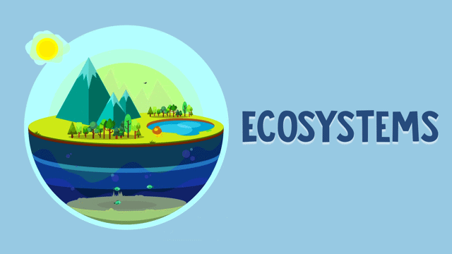 How Do Ecosystems Work? Video & Resources | ClickView How Do Ecosystems Work? Video & Resources | ClickView