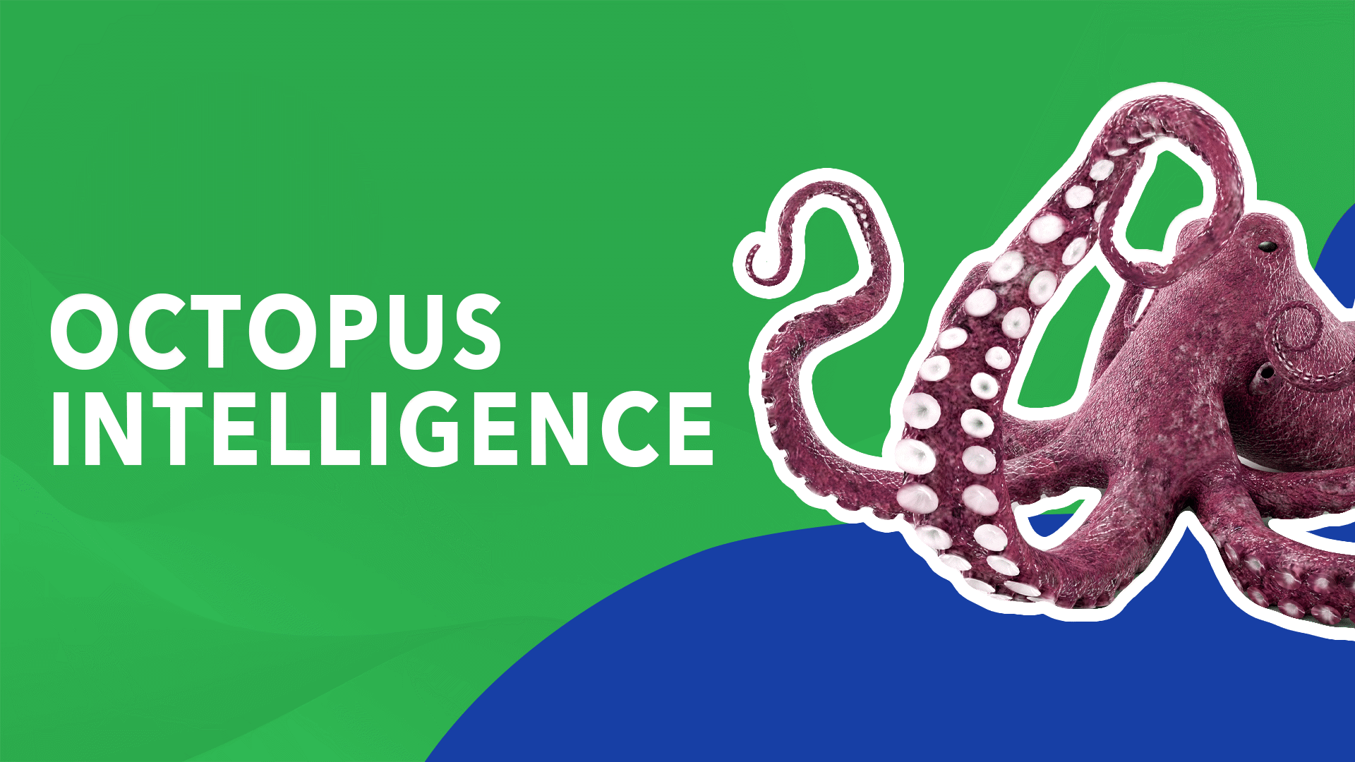 Octopus Intelligence Recording | Streamable Learning