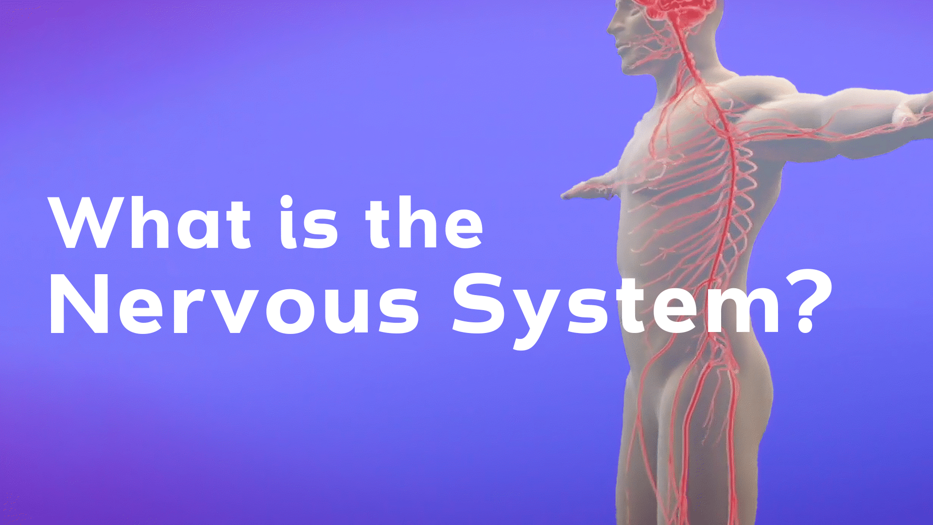 Body Systems: The Brain and Body | ClickView