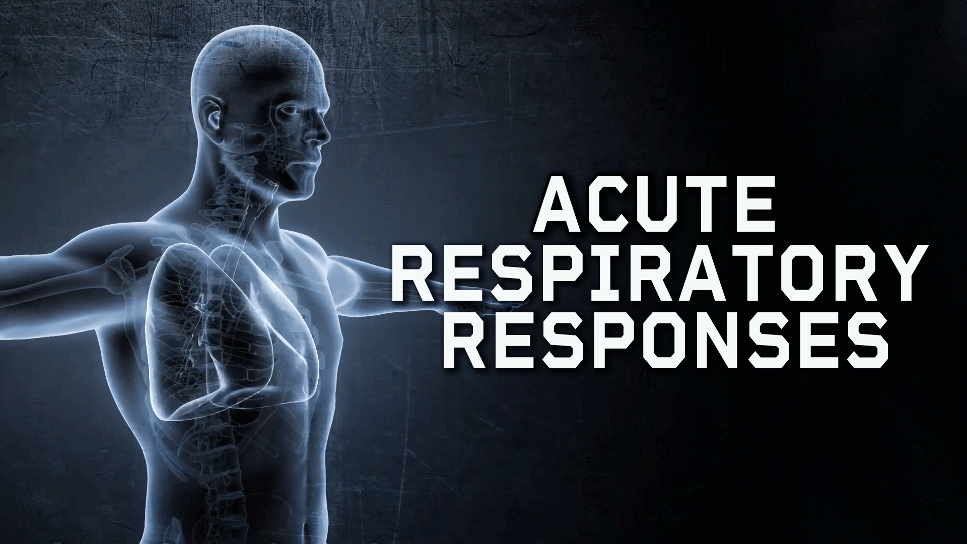 Acute Responses to Exercise Videos & Resources | ClickView