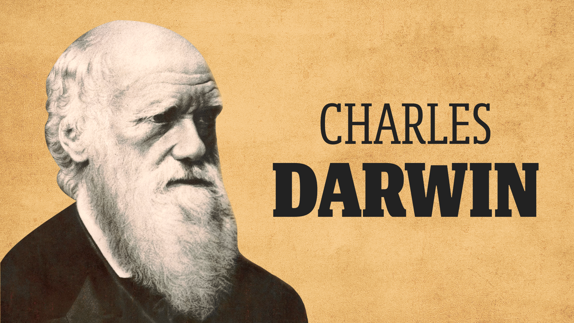Charles Darwin Video & Resources | ClickView