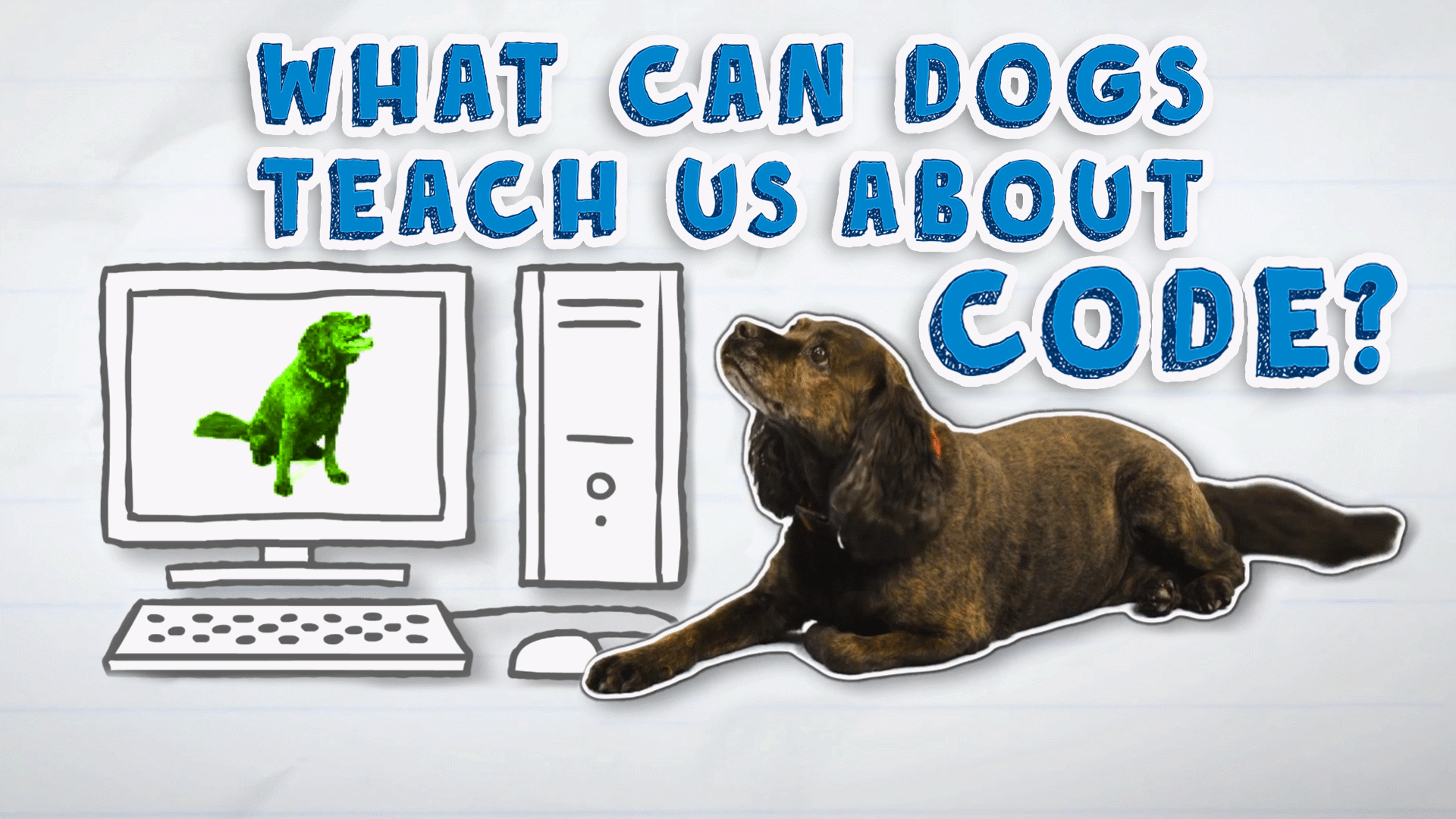 Codes and Canines: Data Transmission and Storage | ClickView