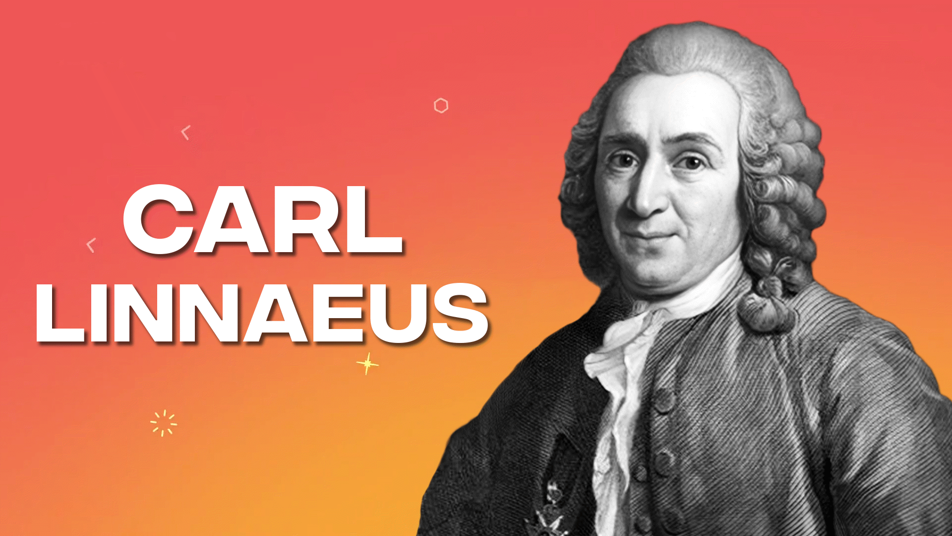 Classifying Living Things: Carl Linnaeus | ClickView