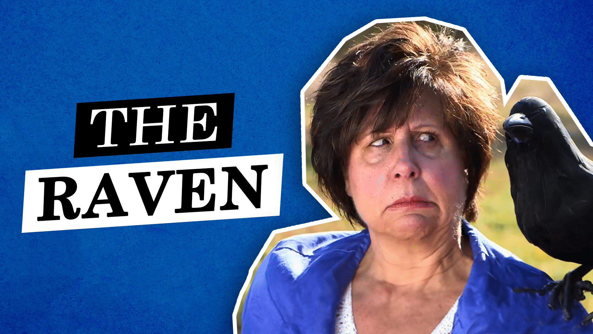 The Raven Video & Resources | ClickView