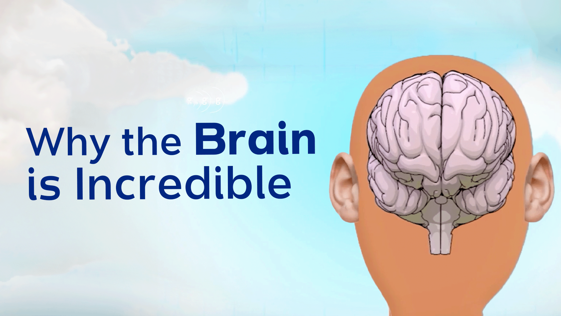 Our Senses: Incredible Brain Videos & Resources | ClickView