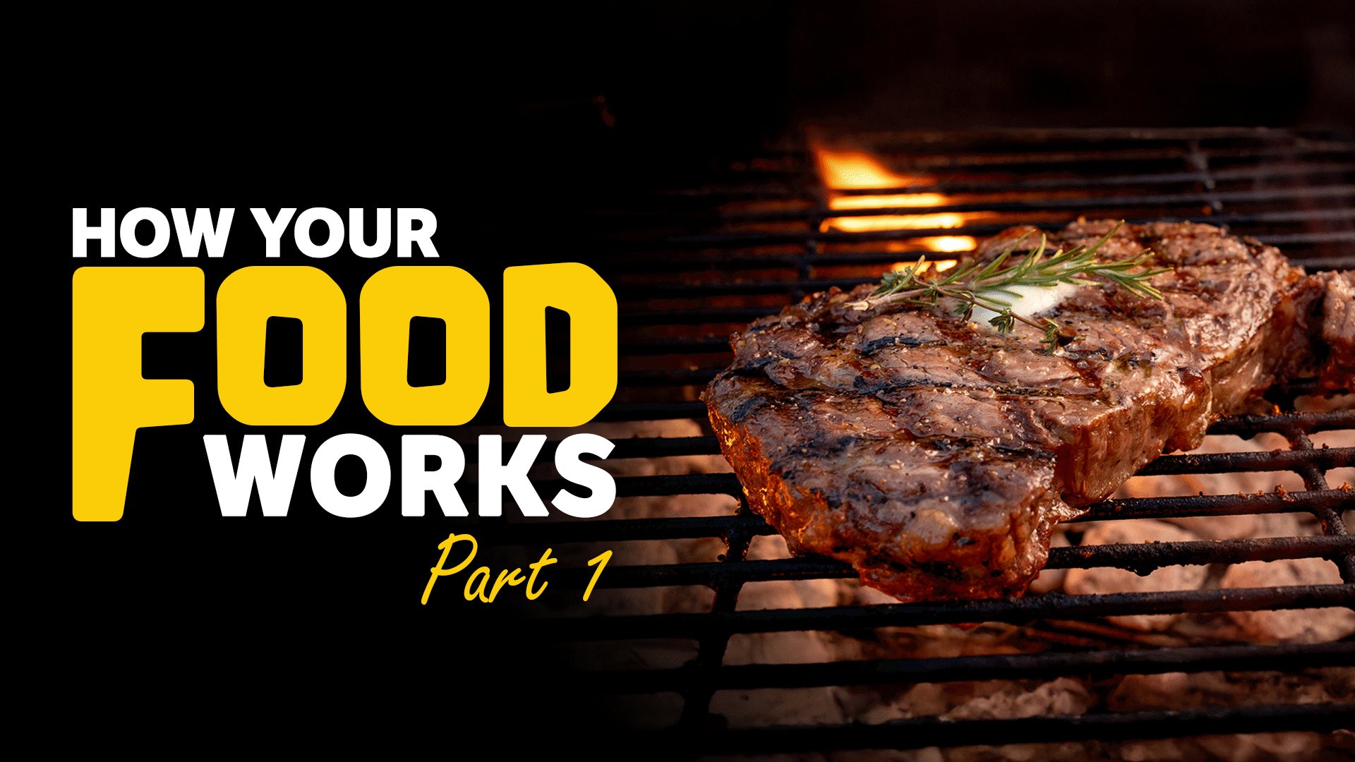 How Your Food Works: Part 1 Video & Resources | ClickView