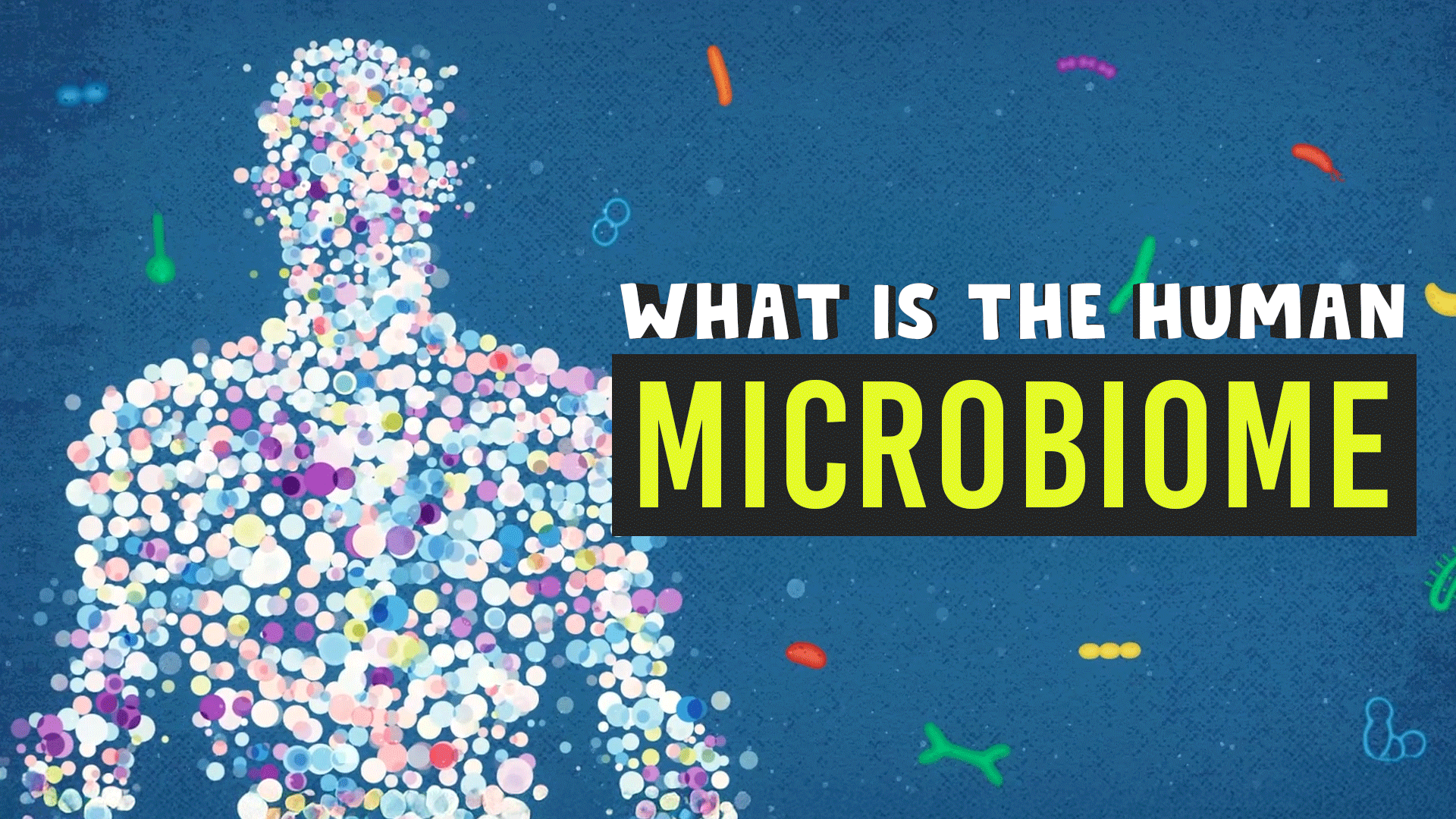 What Is the Human Microbiome? Video & Resources | ClickView