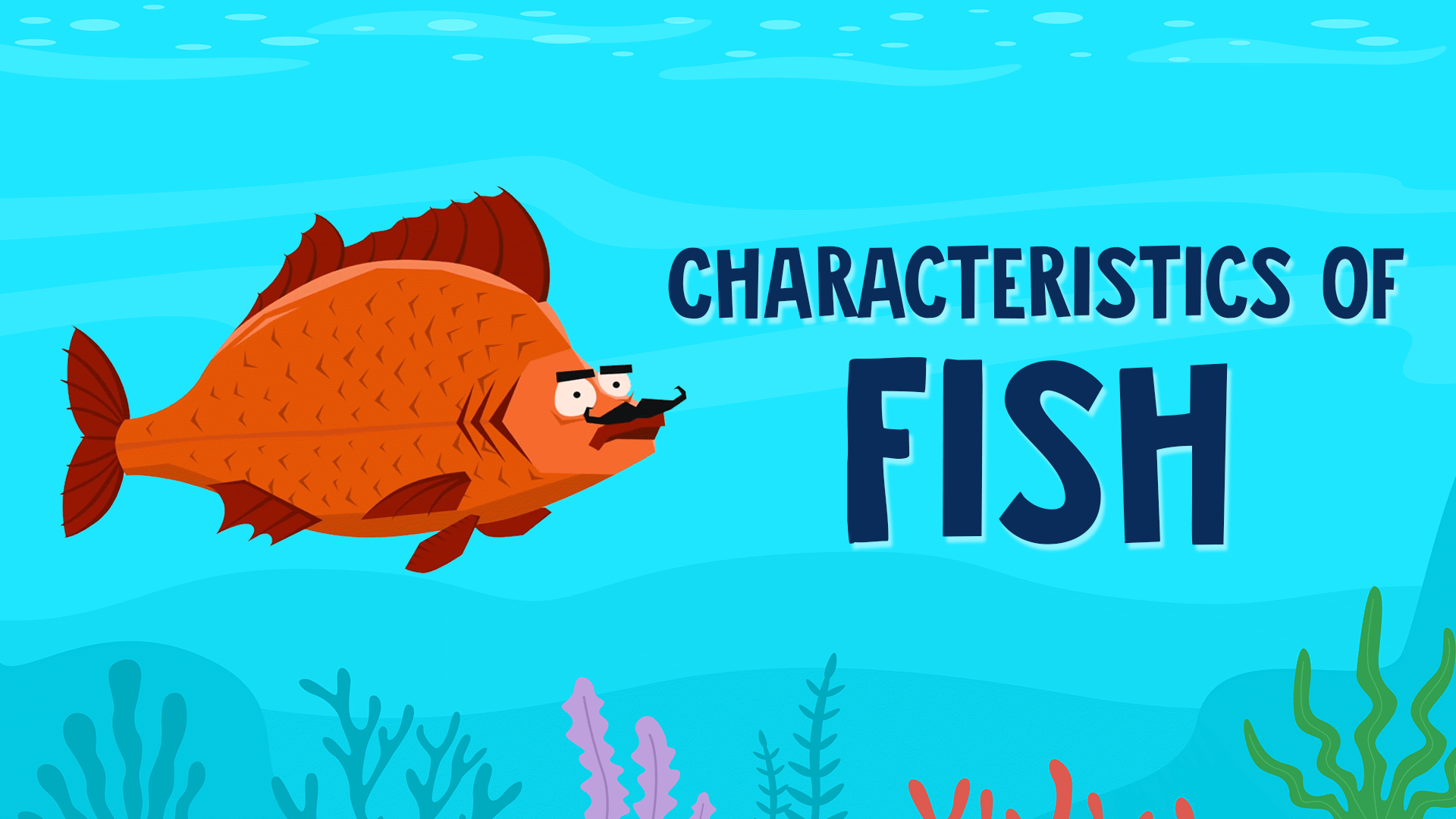 Classification Videos, Resources & Worksheets | ClickView