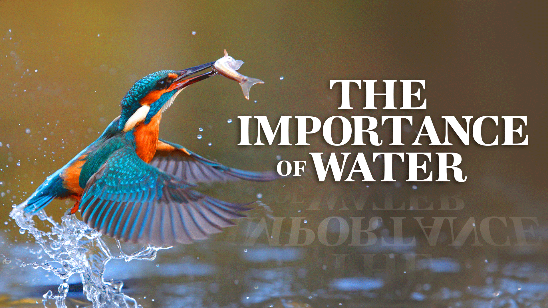 Water as a Resource | ClickView