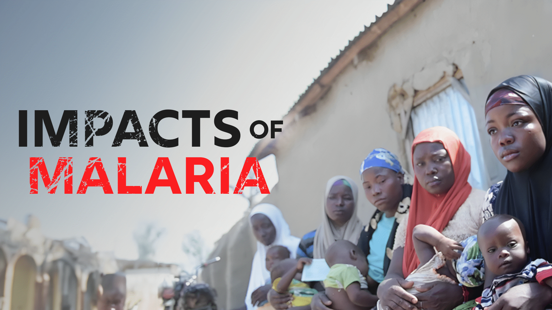 Impacts of Malaria Video & Resources | ClickView