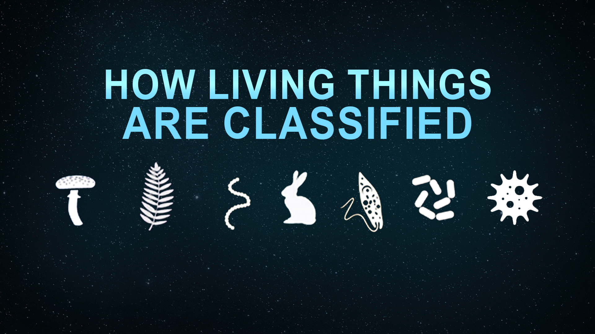 Classifying Living Things Videos & Resources | ClickView