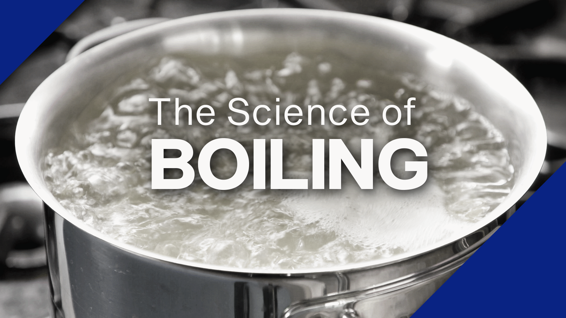 Cooking Methods Videos & Resources | ClickView