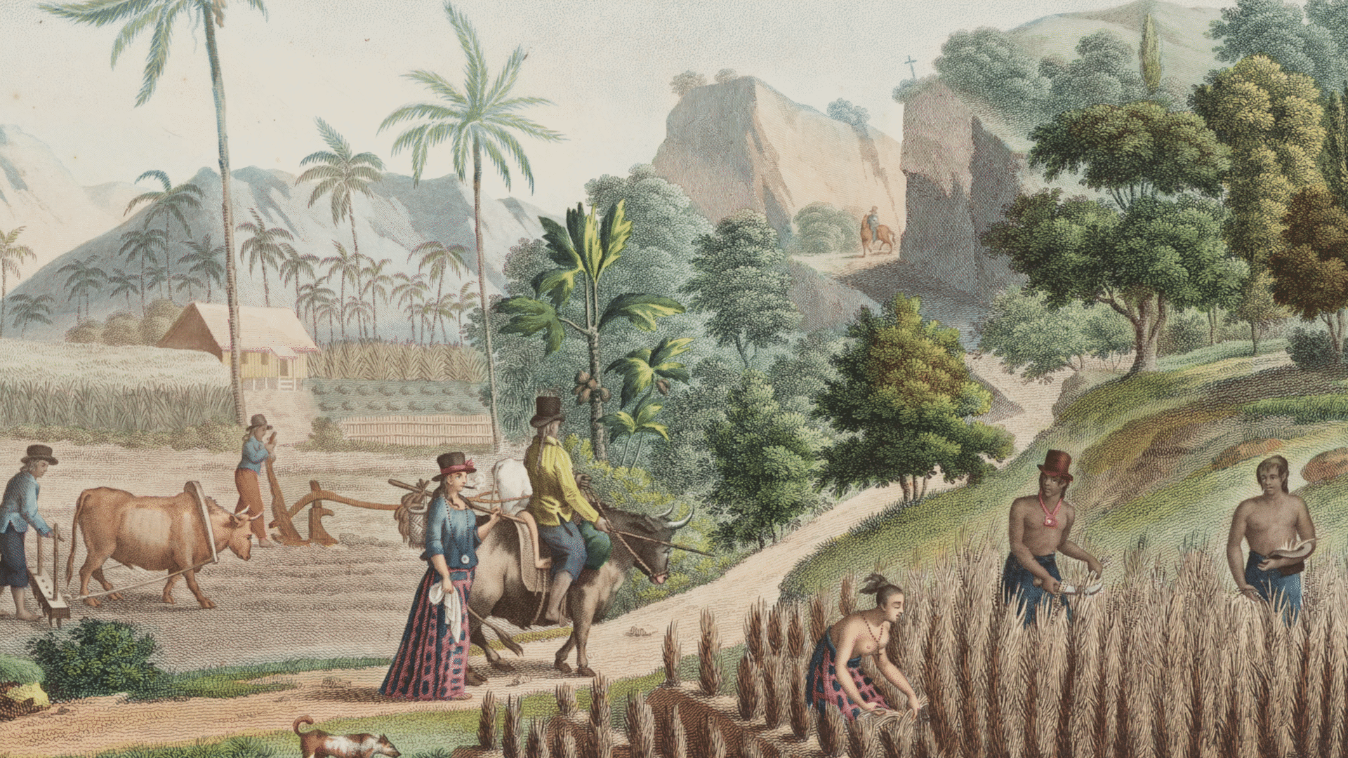 Trade during the Age of Discovery | ClickView