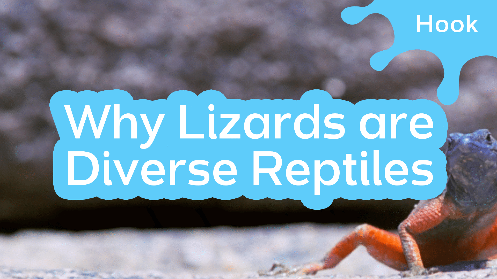 Variation and Classification | ClickView