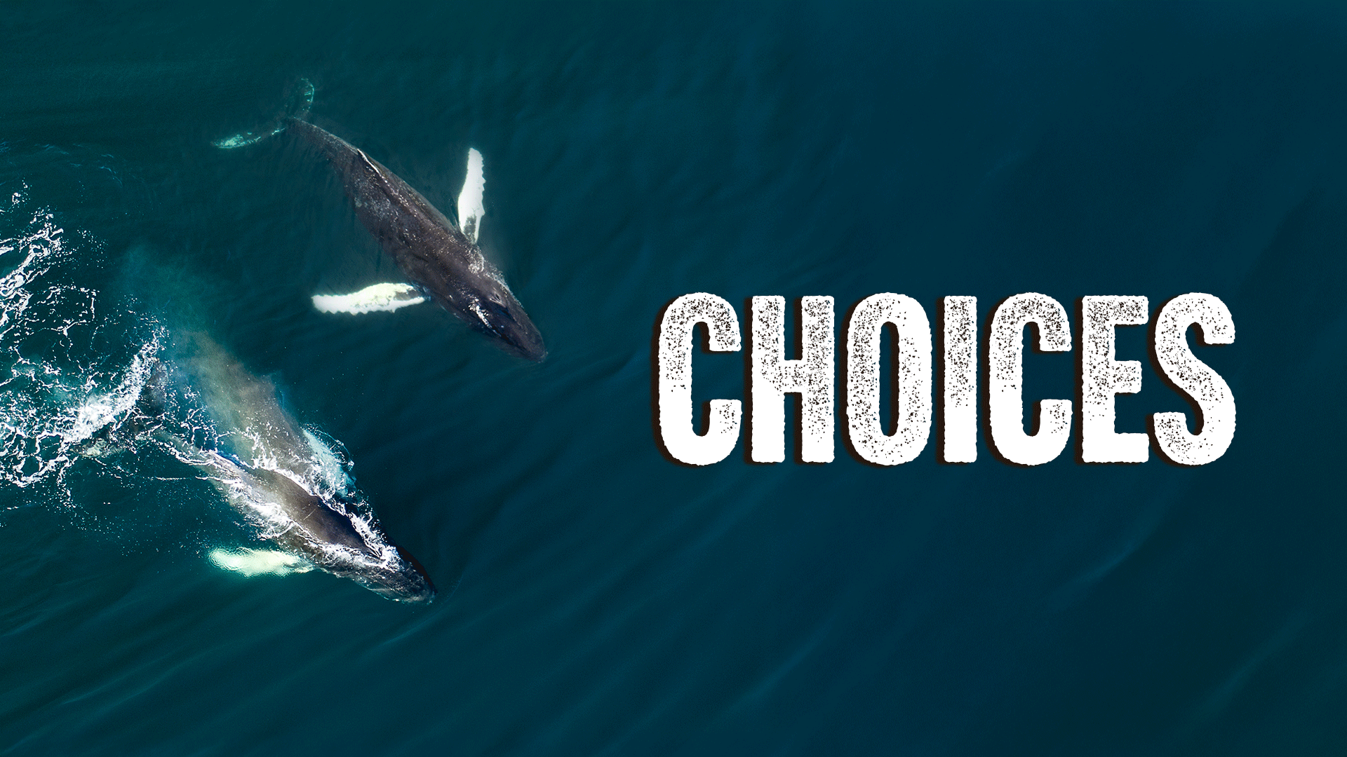 Choices Video & Resources | ClickView