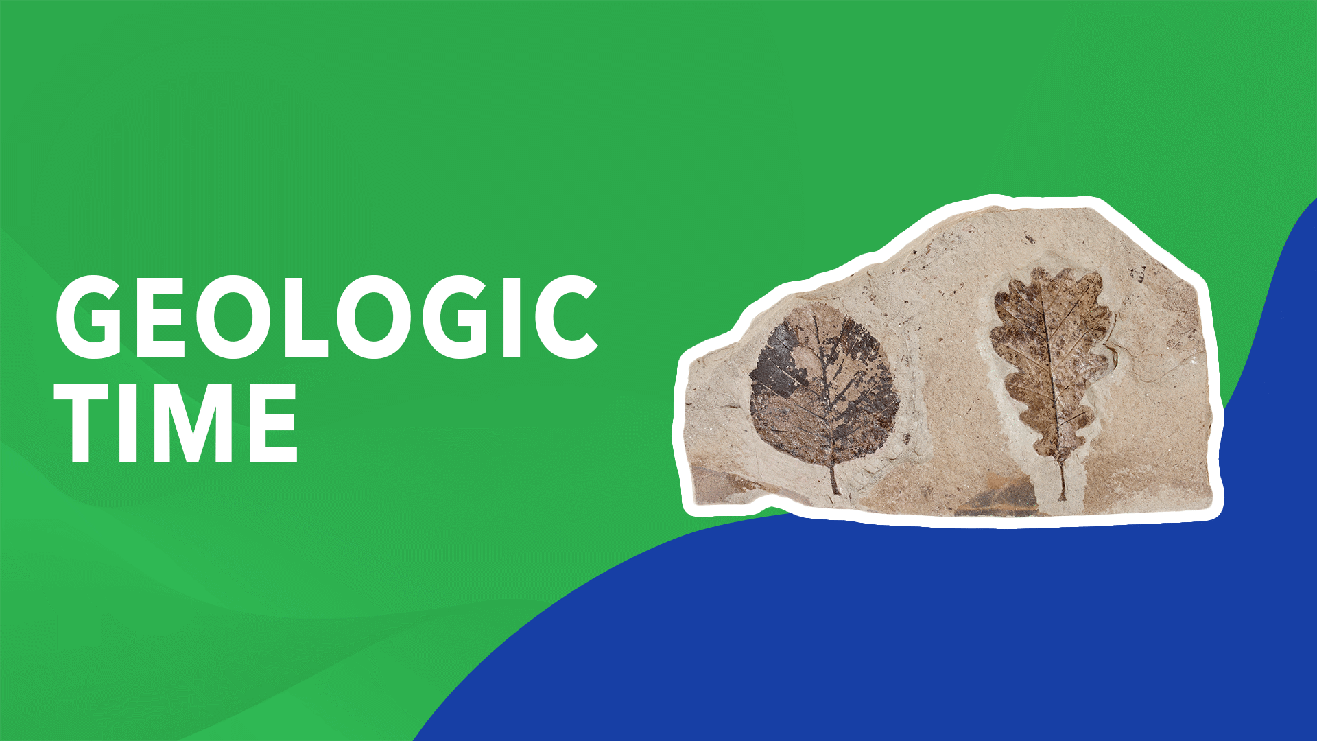 Geologic Time Recording | Streamable Learning