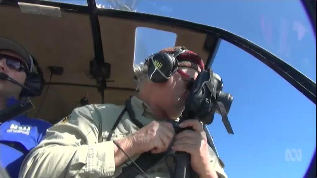 Embedded Online Player - ClickView