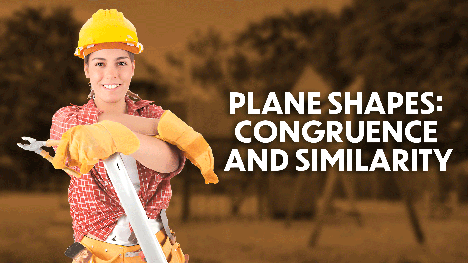 Congruence and Similarity in Plane Shapes | ClickView