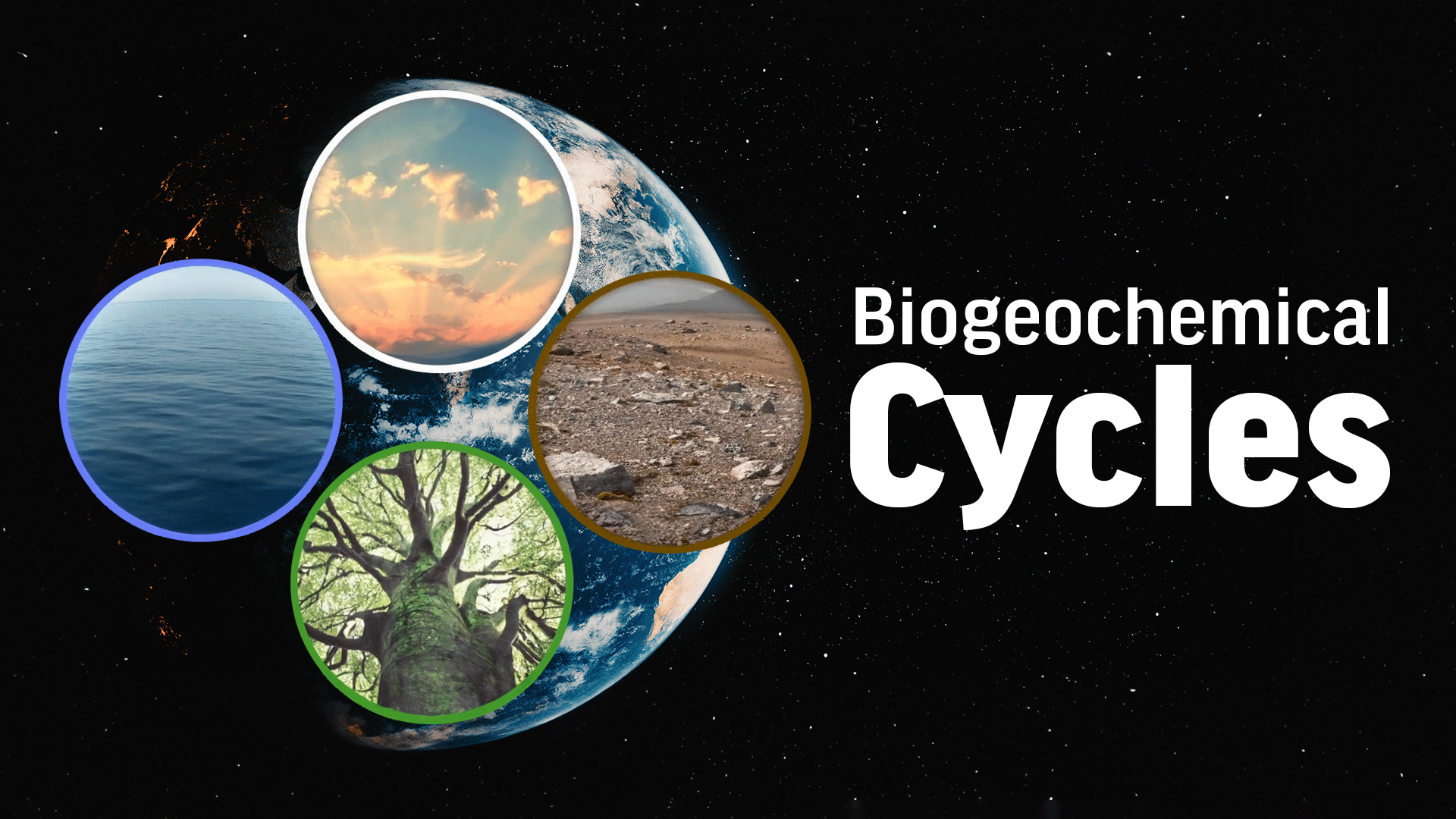 Biogeochemical Cycles Video & Resources | ClickView