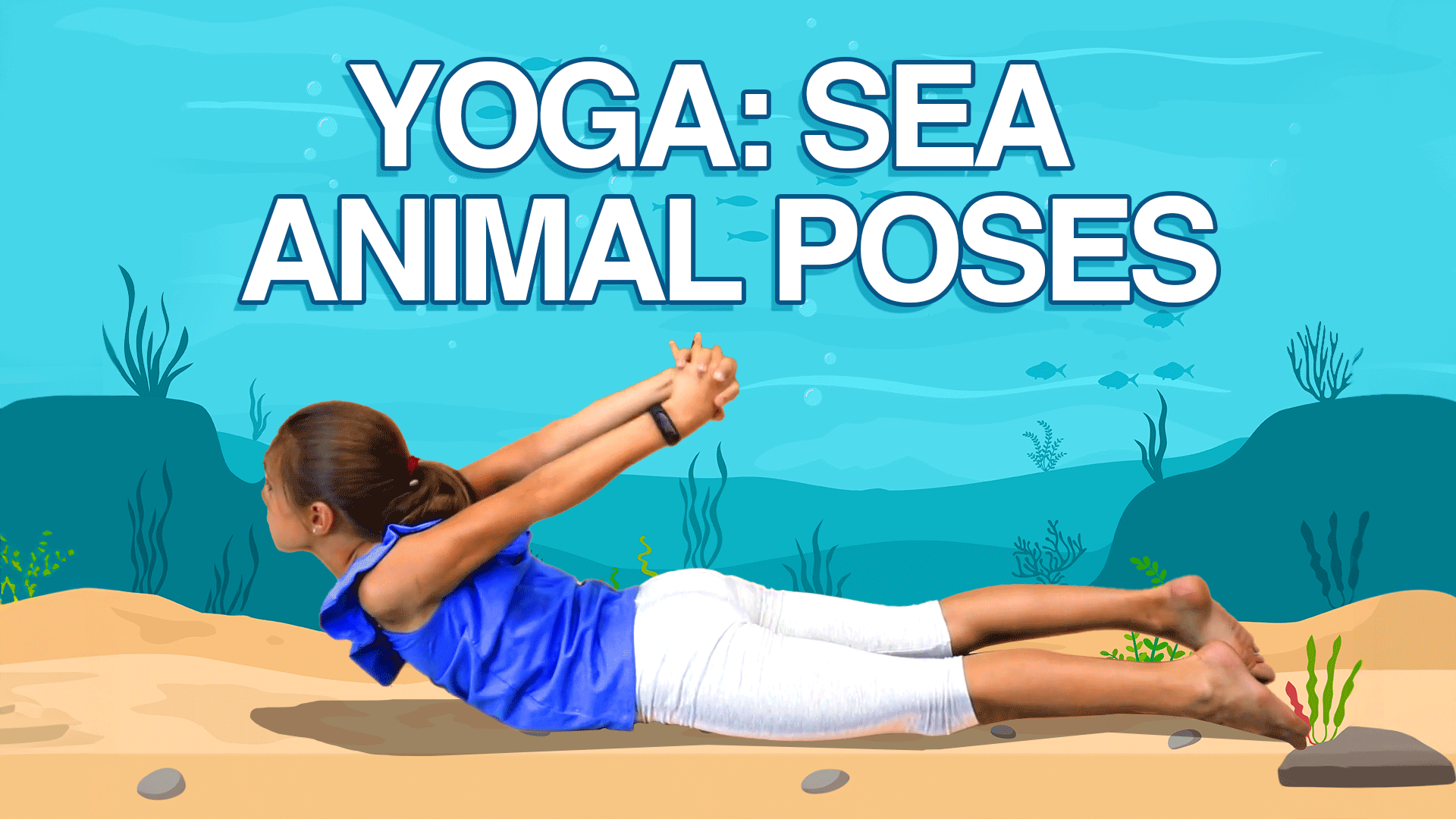 Yoga with Sea Animals Video & Resources | ClickView