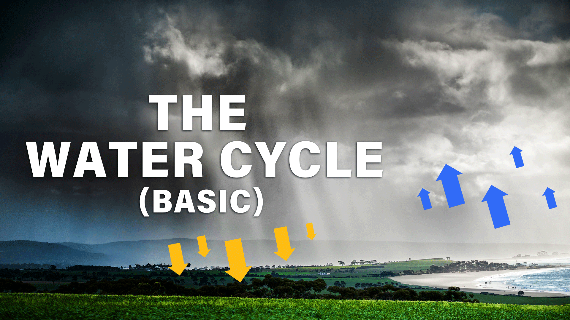 The Water Cycle (Basic) Video & Resources | ClickView