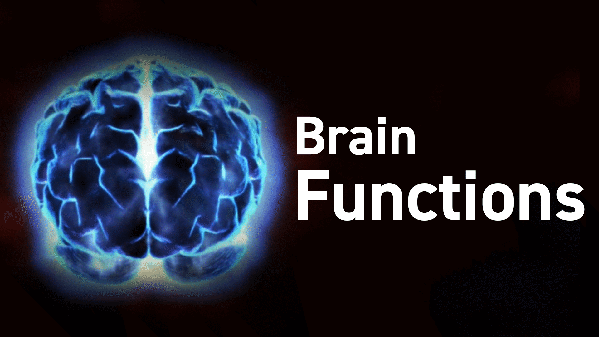 Introduction to the Brain Video & Resources | ClickView