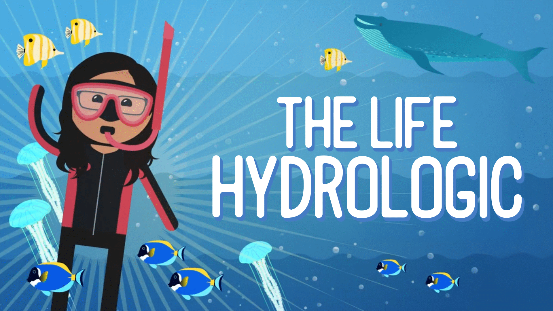 The Life Hydrologic (Marine Habitats) | ClickView
