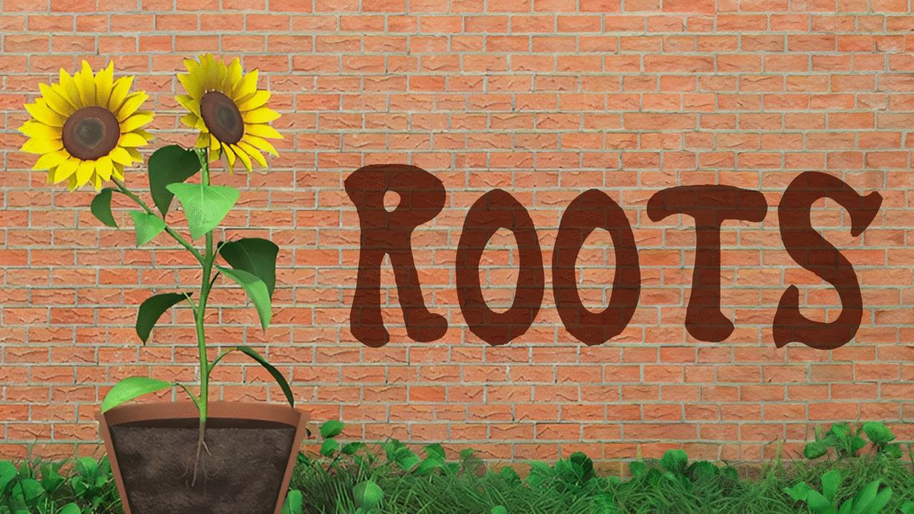 Getting to Know Plants Videos & Resources | ClickView