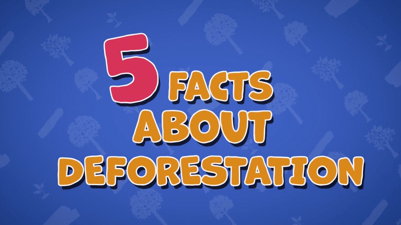 High Five Facts: Environment Videos & Resources | ClickView