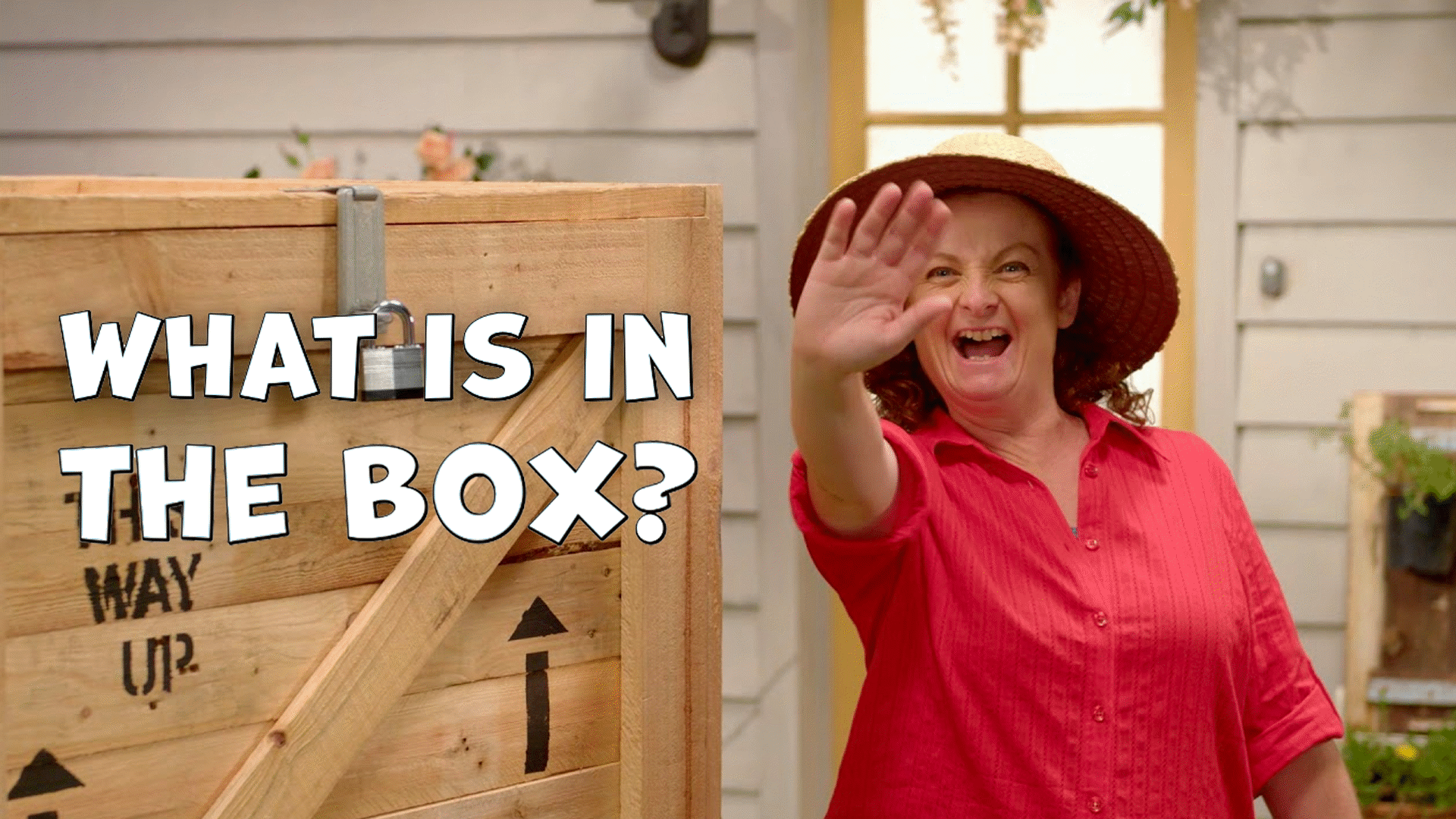 The Large Box Video & Resources | ClickView